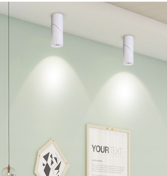 Adjustable Surface Mounted led down lighting – BELECOME
